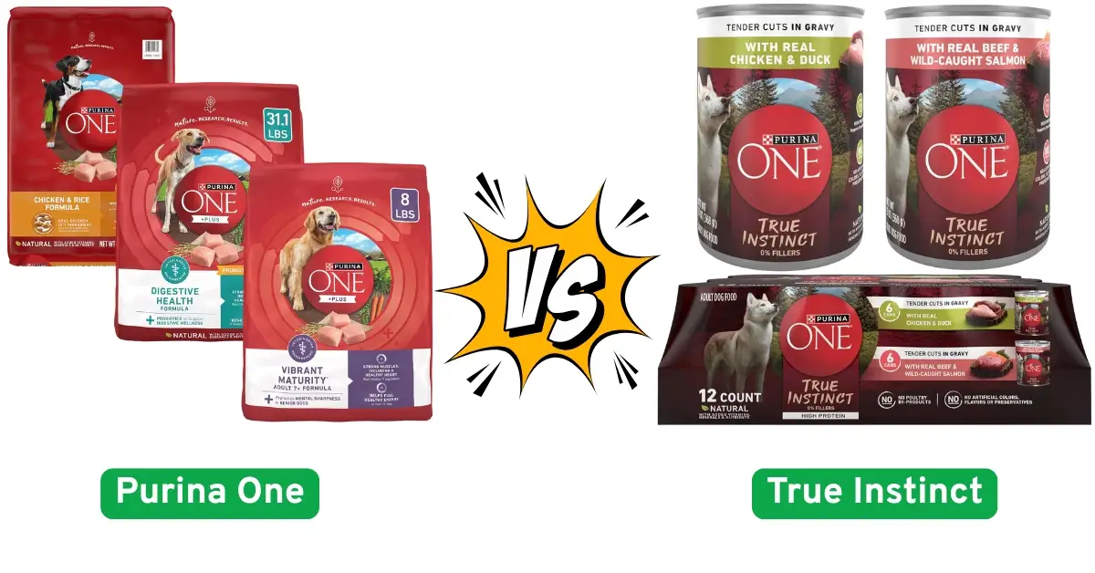 Purina One vs True Instinct: Unbelievably Honest Review